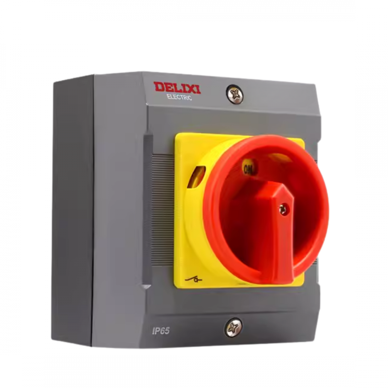 Selector de 2 posiciones impermeable CDF1-20 63A DELIXI